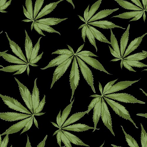 Marijuana green leaf seamless pattern cannabis Vector Image