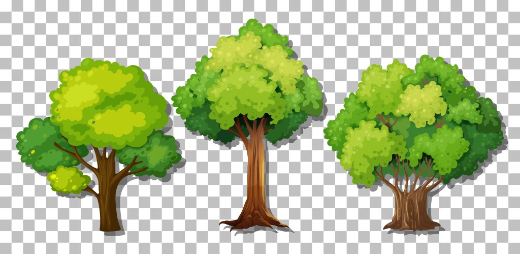 Set of simple tree Royalty Free Vector Image - VectorStock