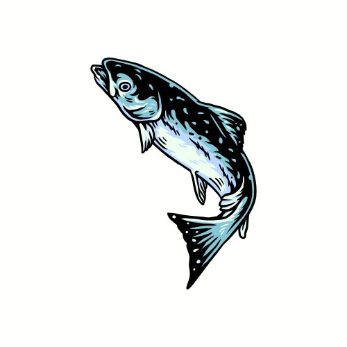 Freshwater Fish Drawing Vector Images (over 2,800)