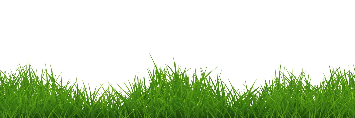 Wheat and grass Royalty Free Vector Image - VectorStock