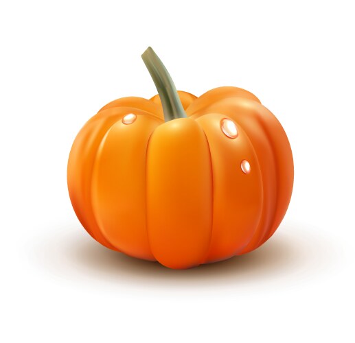 Pumpkin Royalty Free Vector Image - VectorStock