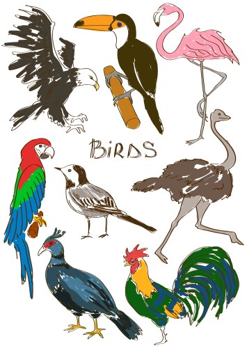 Set realistic birds goshawk griffon vulture Vector Image