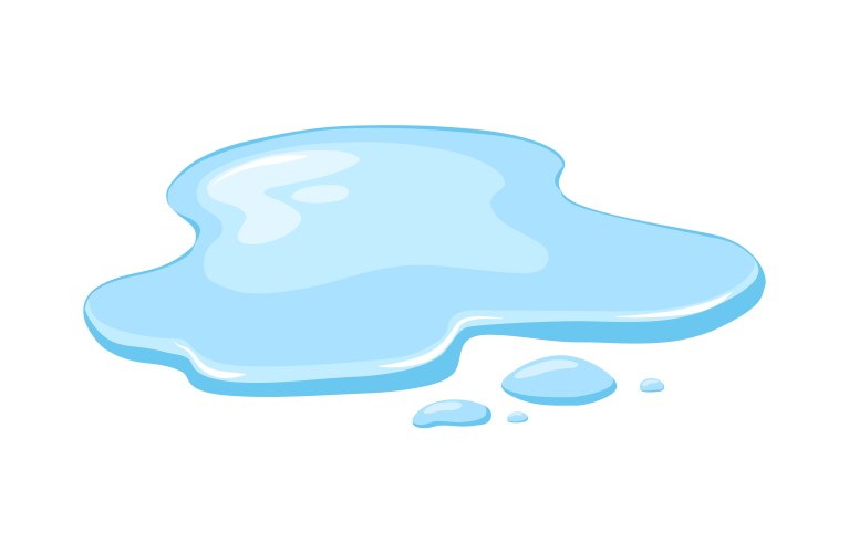 Water spill on a white isolated background puddle Vector Image