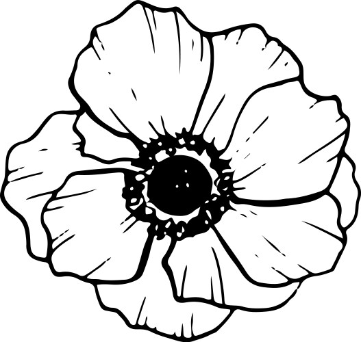 Poppy Etching Vector Images (over 200)