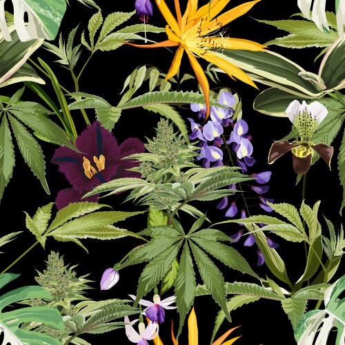 Marijuana seamless pattern Royalty Free Vector Image