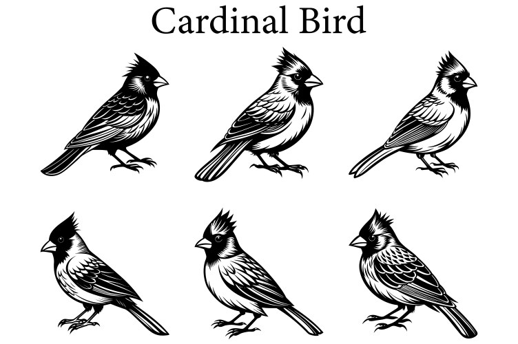 Black white cardinal Vector Images & Graphics for Commercial Use ...