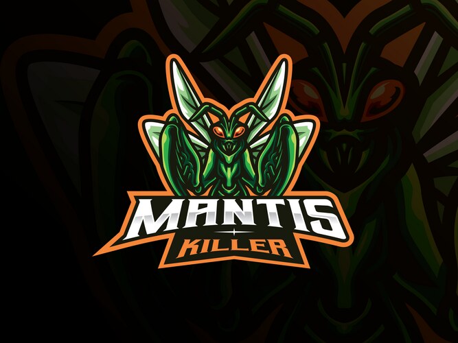 Badragon esport logo Royalty Free Vector Image