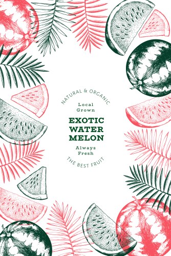 Summer tropical design template Royalty Free Vector Image