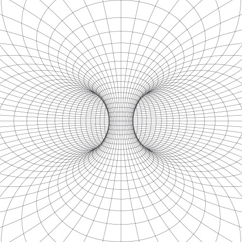 Wireframe torus with different structure Vector Image
