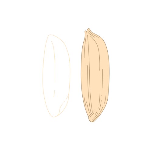 Paddy Vector Images (over 6,300)