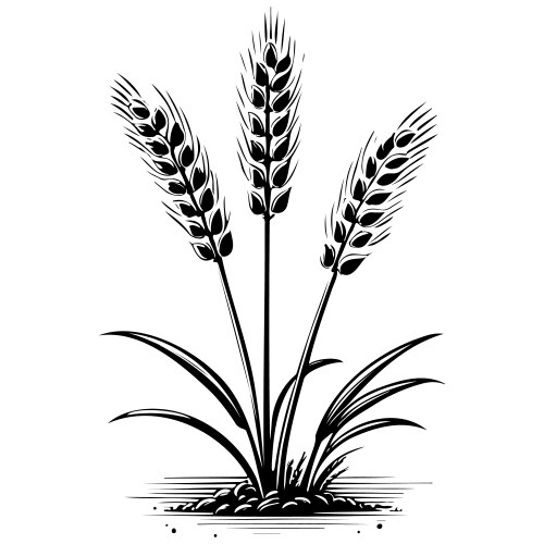 Cartoon wheat monochrome hand drawn line Vector Image