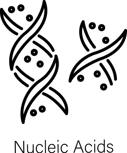Nucleic Acids Vector Images (over 660)