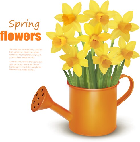 Watering can and flowers Royalty Free Vector Image