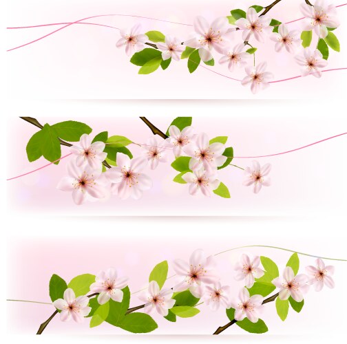 Summer flowers borders Royalty Free Vector Image