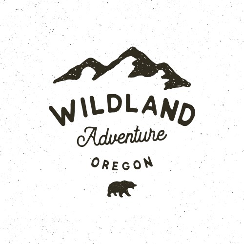 Set of vintage wilderness logos hand drawn retro Vector Image