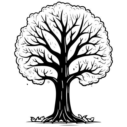 Cartoon oak tree drawing outline cartoon line Vector Image