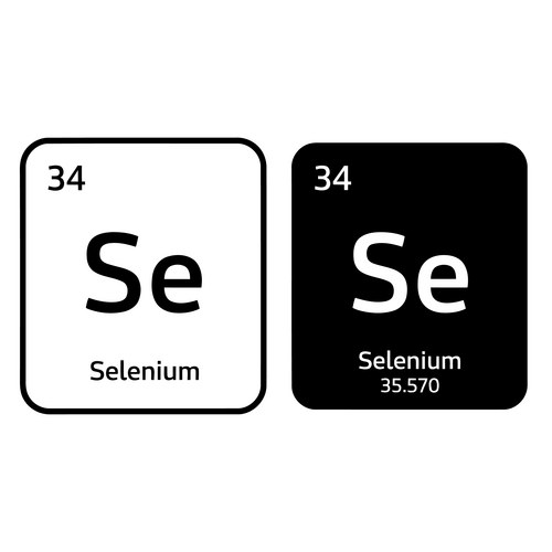 Selenium Element Symbols – Royalty-Free Vector | VectorStock