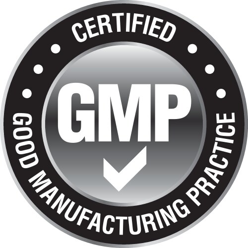 Gmp-good manufacturing practice 6 heading Vector Image