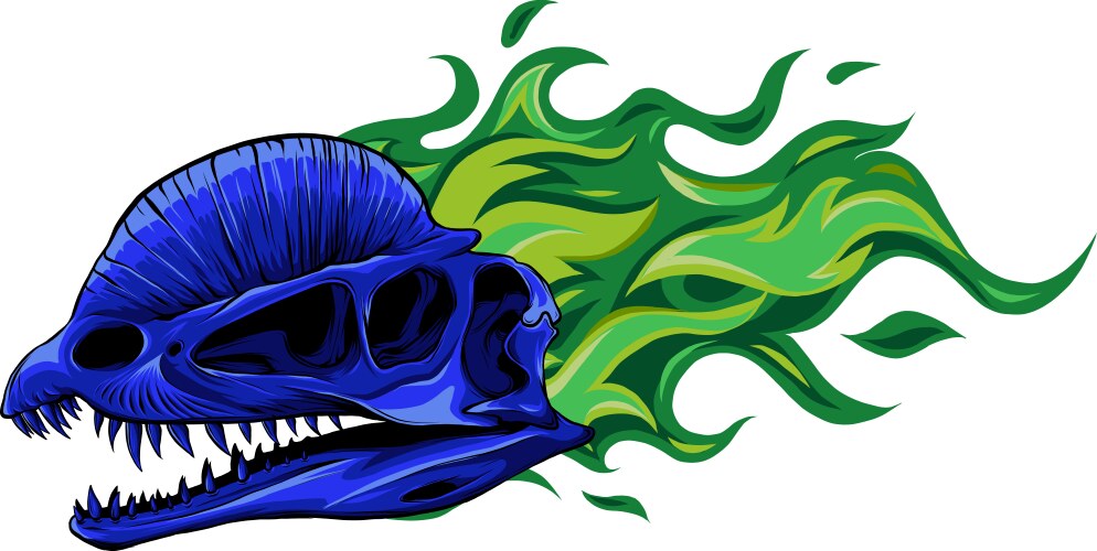 Skull of dilophosaurus dinosaur Royalty Free Vector Image Skull of dilophosaurus dinosaur Royalty Free Vector Image