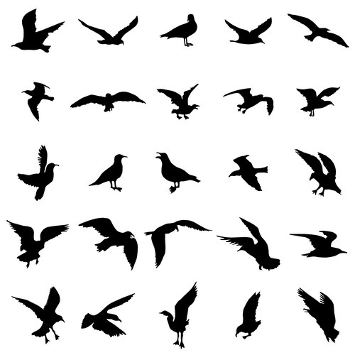 Seagull seabird flat set feathered Royalty Free Vector Image