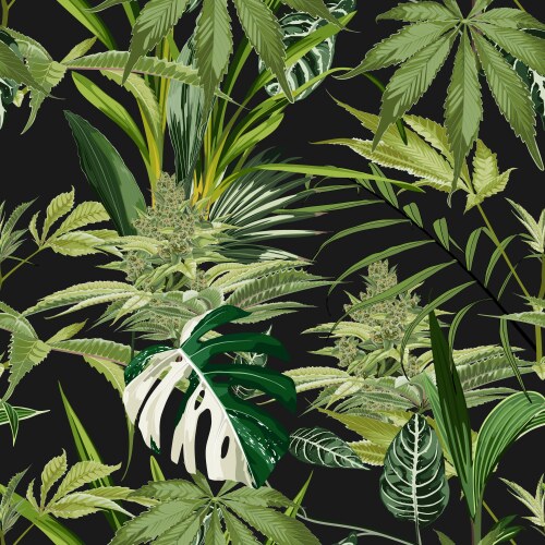 Marijuana seamless pattern Royalty Free Vector Image