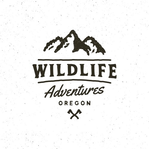 Set of vintage wilderness logos hand drawn retro Vector Image
