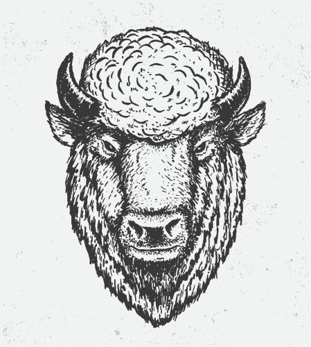 Buffalo Black and White Vector Images (over 23,000)
