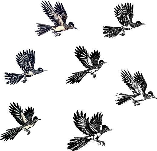 Flying roadrunner over desert scene line art vec Vector Image