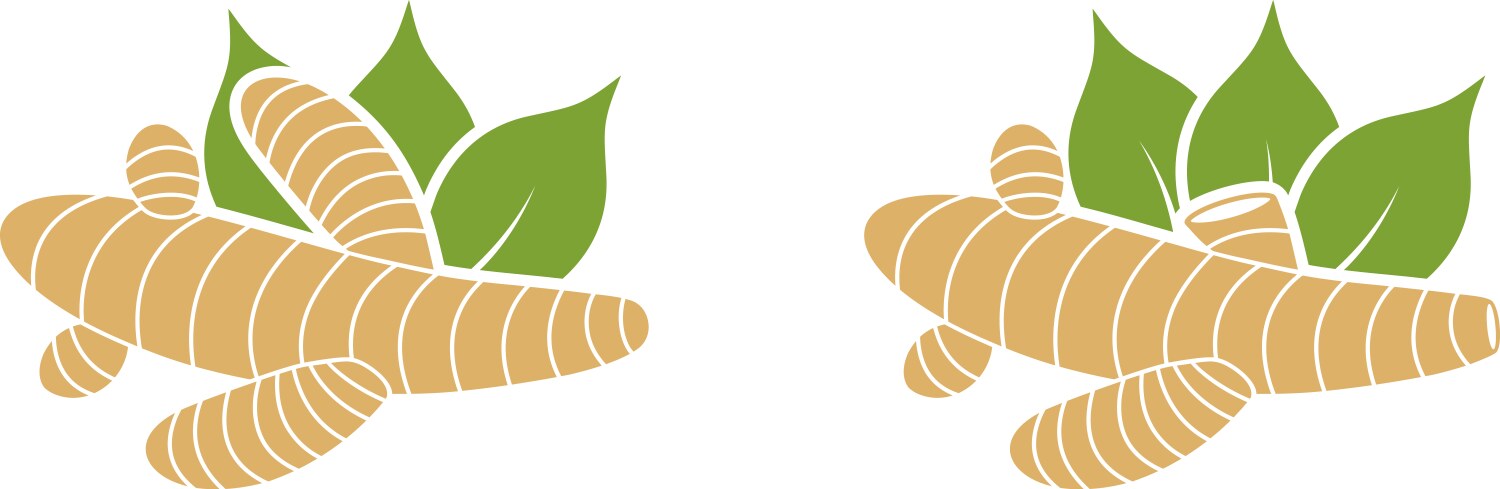 Ginger Royalty Free Vector Image - VectorStock