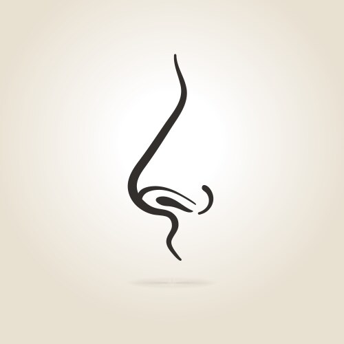 Human nose with nostrils Royalty Free Vector Image