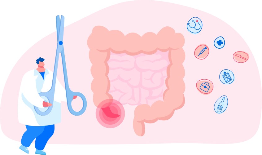 Appendix Vector Images & Graphics for Commercial Use | VectorStock