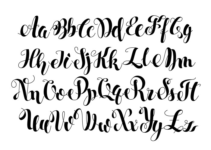 Calligraphy handwritten alphabet Royalty Free Vector Image