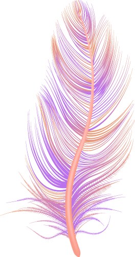 Realistic peacock peafowl color feather set Vector Image