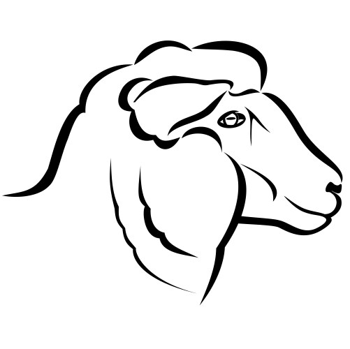 Continuous one line drawing a little lamb sheep Vector Image