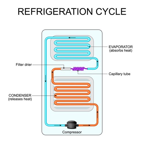 Refrigeration Cycle Diagram – Royalty-Free Vector | VectorStock