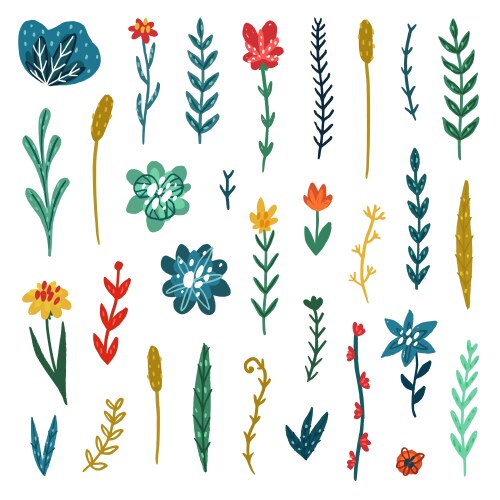 Colorful Floral Collection With Leaves And Flowers