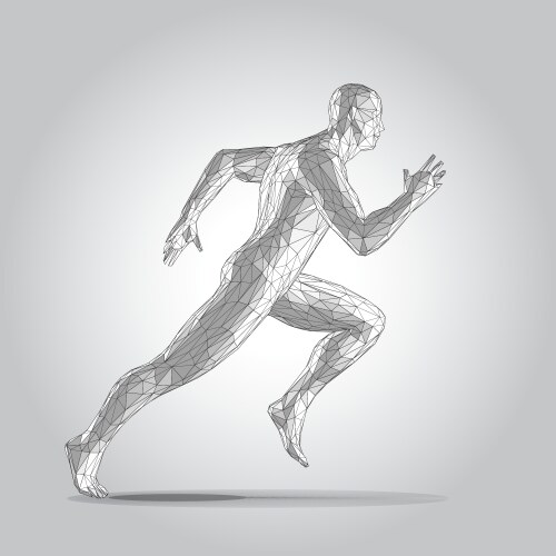 Human body 3d polygonal wireframe blueprint Vector Image