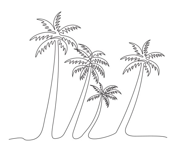 Palm Leaf Line Drawing Vector Images (over 7,900)