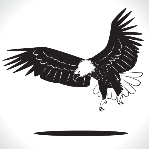Eagle Royalty Free Vector Image - VectorStock
