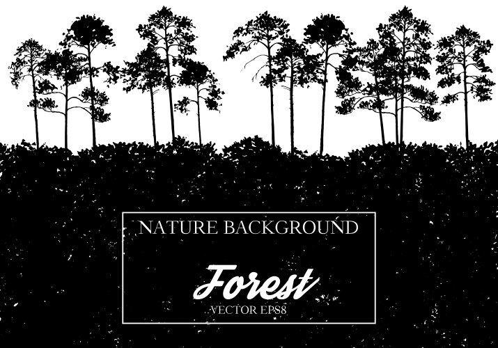 Landscapes with pine trees Royalty Free Vector Image