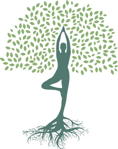 Tree yoga Royalty Free Vector Image - VectorStock