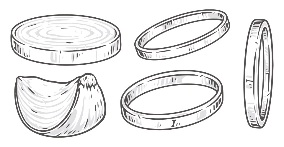 Onion outline icon Royalty Free Vector Image - VectorStock