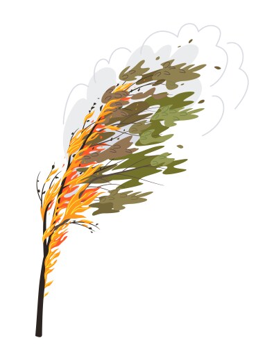 Burning palm tree isolated on white wild fire Vector Image