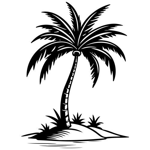 Cartoon palm tree hand drawn line transparent Vector Image