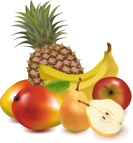 Fruit Vector Images (over 910,000)