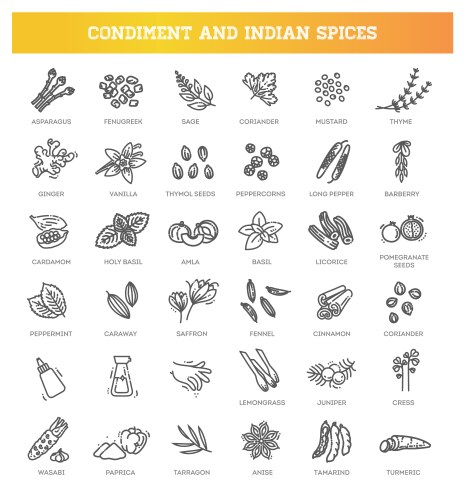 Condiment icons set outline Royalty Free Vector Image