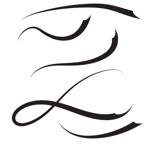 Curved stripe calligraphy line ribbon curl Vector Image