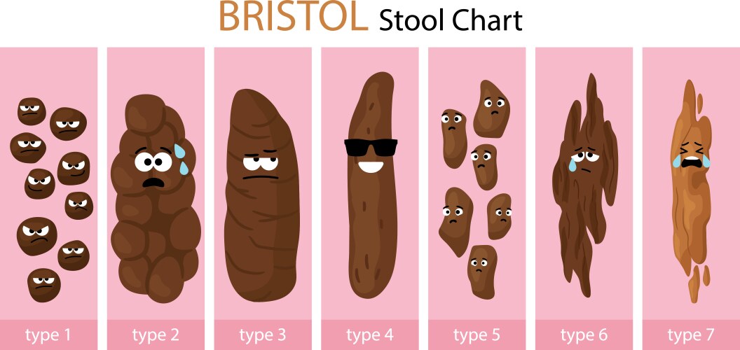 Feces Vector Images (over 5,000)