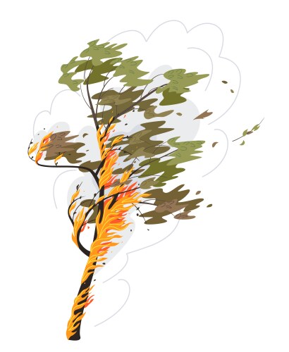 Burning palm tree isolated on white wild fire Vector Image