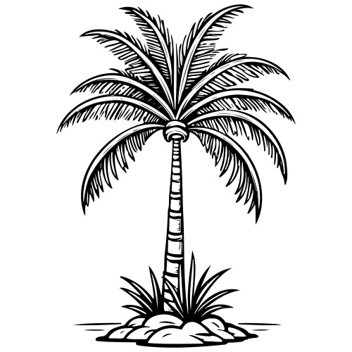 Monochrome cartoon palm tree outline Royalty Free Vector